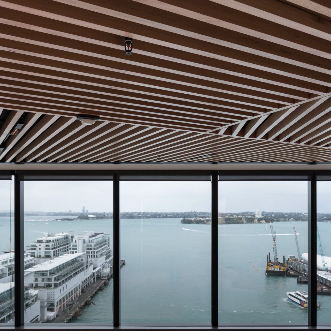 Portfolio – Rokane